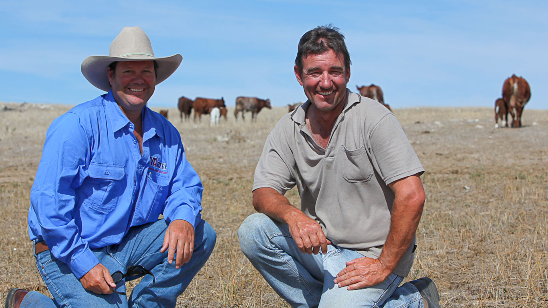 Successful Bull Selection | Manchee Agriculture